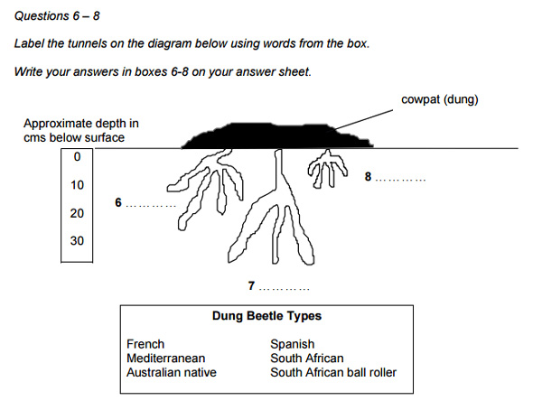 IELTS Reading Diagram Labelling Questions