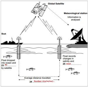 IELTS Listening Map/Diagram/Plan/Flowchart Labelling Questions