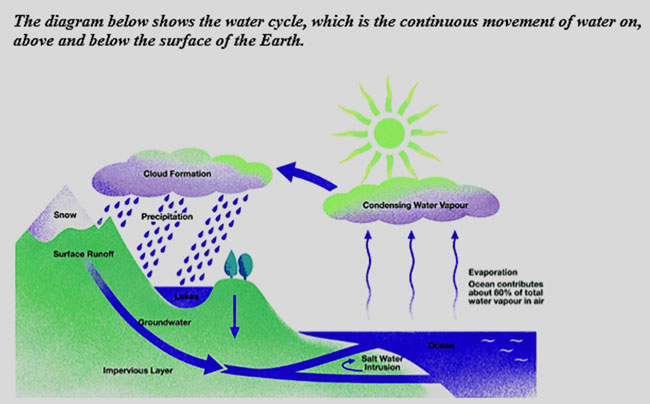 IELTS Writing Task 1 Process: An Overview, Steps And Tips