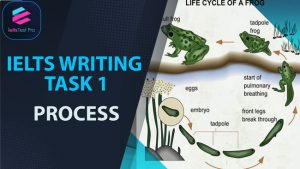 IELTS Writing Task 1 Process: An Overview, Steps And Tips