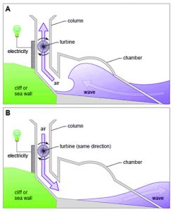IELTS Writing Task 1 Process: An Overview, Steps And Tips