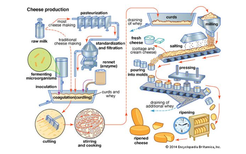 Manufacturing Process Trong IELTS Writing Task - Cách Viết, Từ Vựng ...